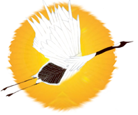 Approach Cranial Sacral & Massage Therapy Clinic Approach Cranial ...